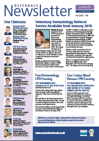 Vet Referrals Autumn Newsletter | News | Eastcott Referral