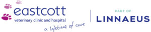 Home | Pet Hospital | Eastcott Refferals