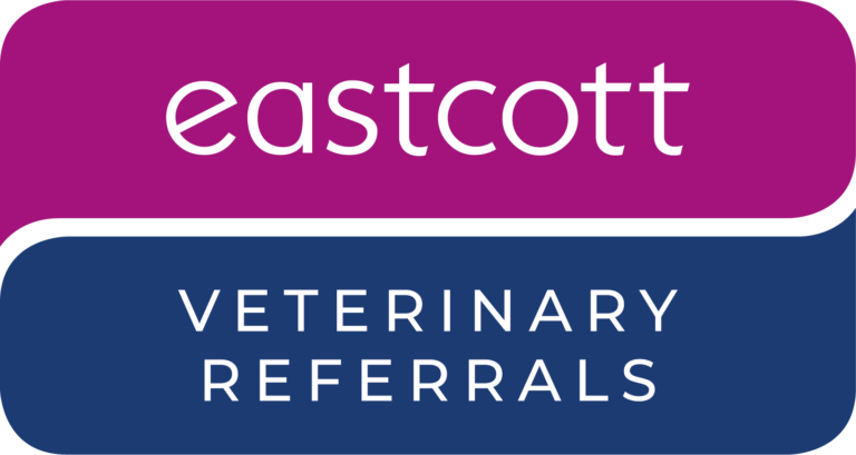 Refer A Case | Emergency Referral Vet | Eastcott R