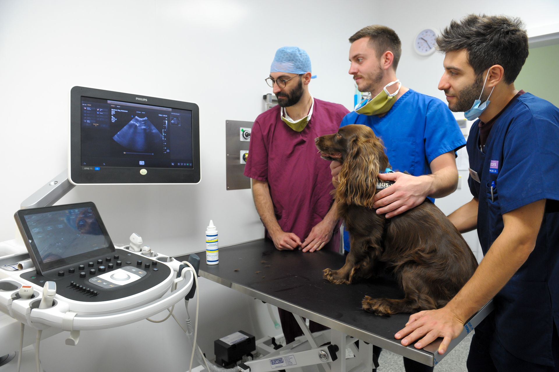 Specialisms | Eastcott Referrals | Swindon