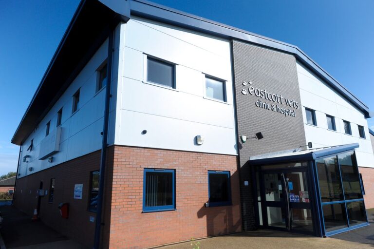 Contact Us | Eastcott Referrals