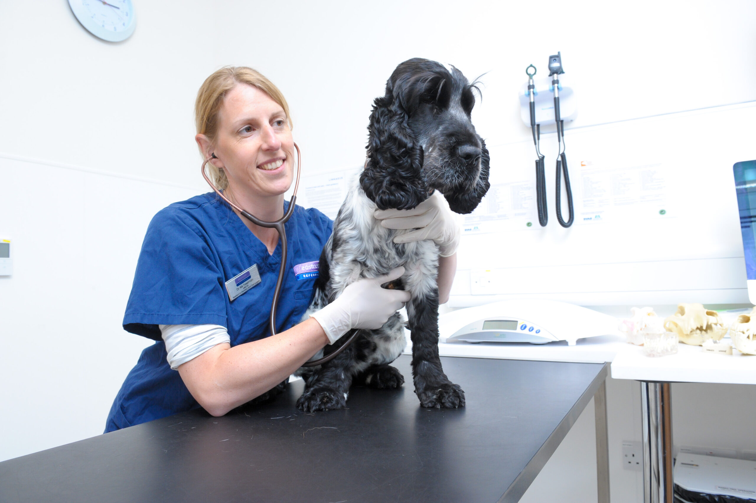Cardiology | Veterinary Referrals | Eastcott Vets
