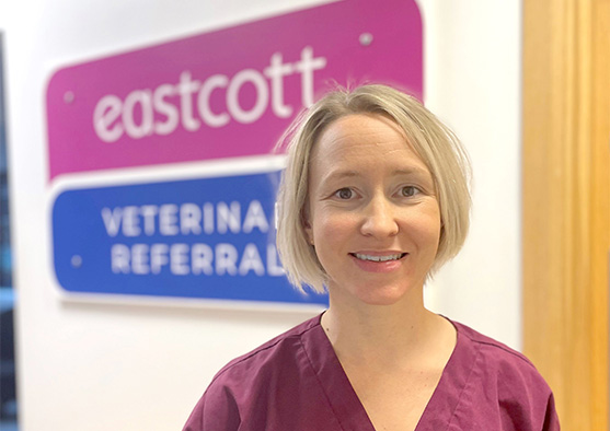 Veterinary Referral Blog | News | Eastcott Referral