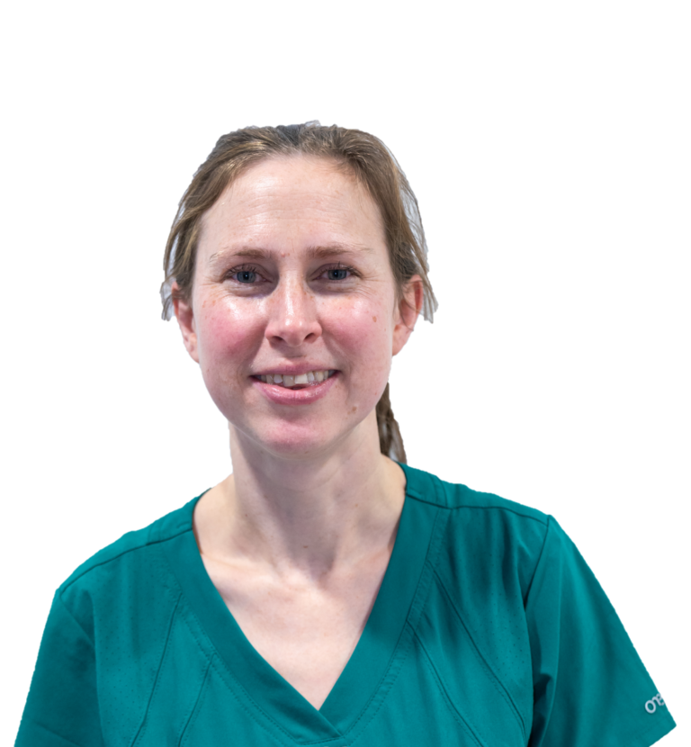 Small Animal Dentistry Referrals | Eastcott Referrals