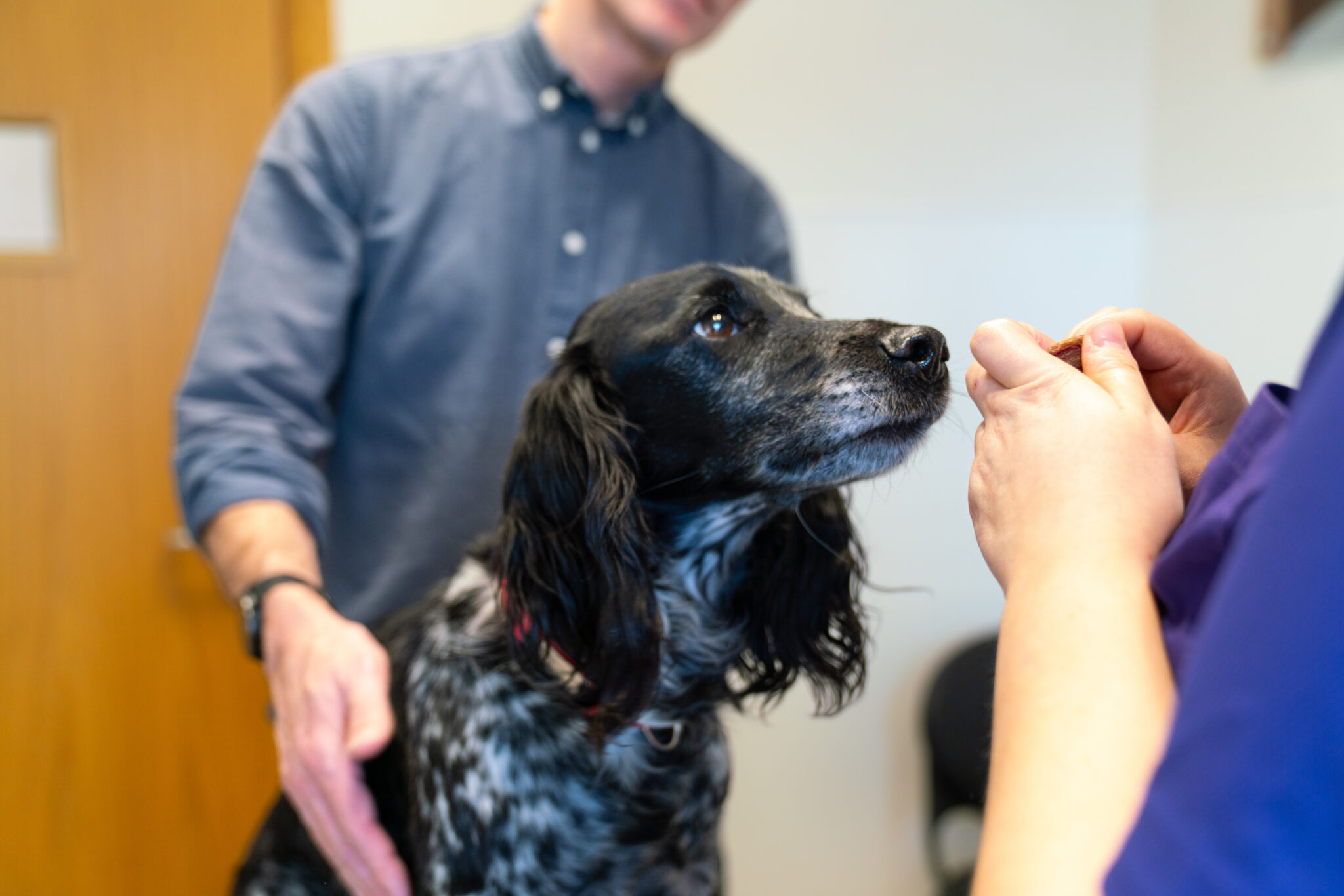 Neurological conditions - Eastcott Referrals